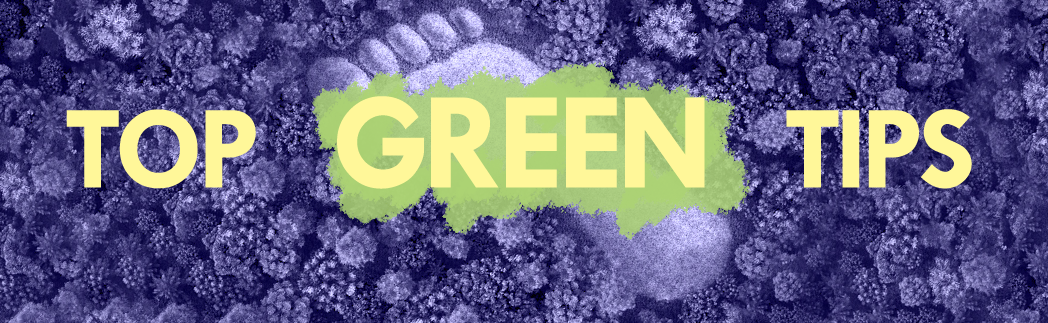 Reduce your carbon footprint in eight simple ways - Schools' Buying Club